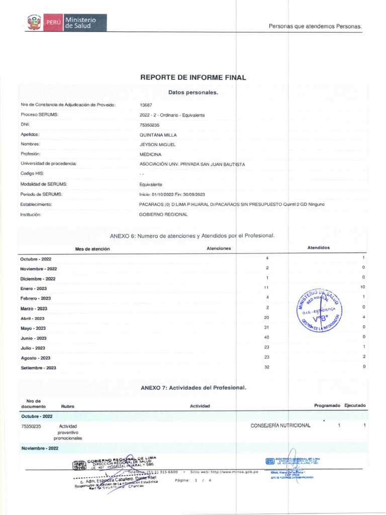 formato informe final serums | PDF