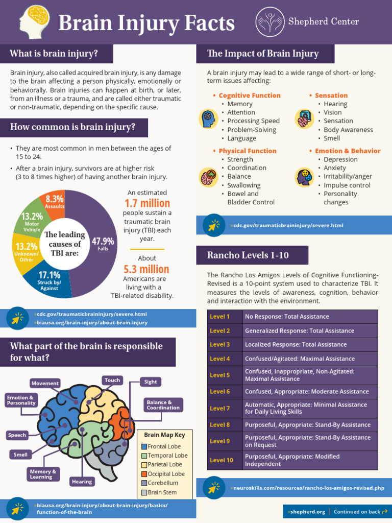 Brain-Injury Infographic 4-8-21 | PDF | Traumatic Brain Injury ...
