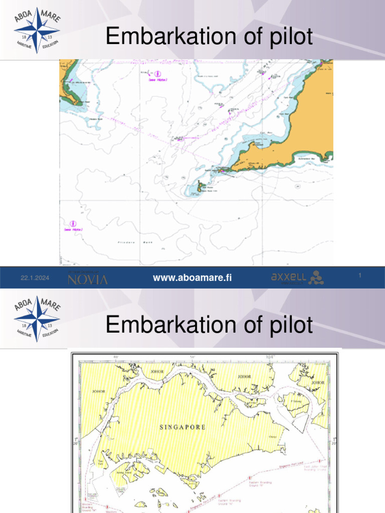 Embarkation of Pilot | Download Free PDF | Ships | Watercraft