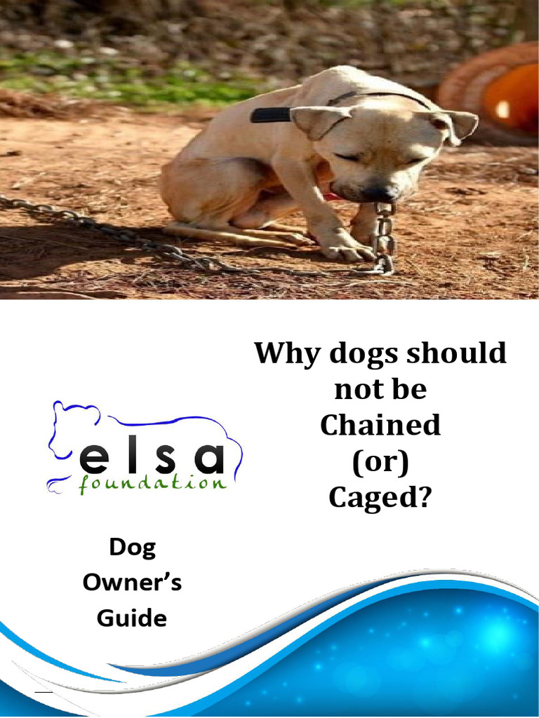 Elsa Dog Owners Guide 30 Oct 23 | PDF | Dogs | Pet