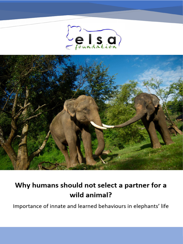 Elsa Elephants Partner Selection 14 Sep 22 | PDF | Elephant | Zoo