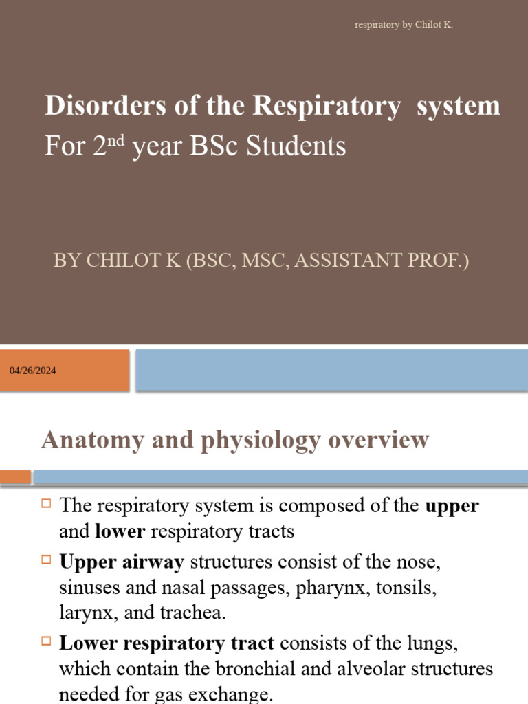 3 Respiratory System | PDF | Respiratory Tract | Lung