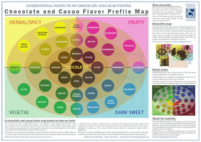IICCT-Flavor-Map-A3-poster-v1.0-EN | PDF | Chocolate | Taste