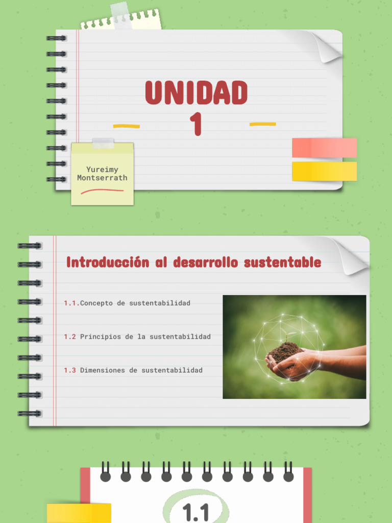 Principios y Dimensiones de Sustentabilidad | PDF | Sustentabilidad | Desarrollo sostenible