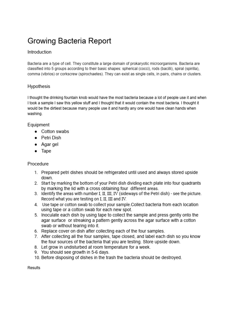 Growing Bacteria Report | PDF | Bacteria | Cell (Biology)
