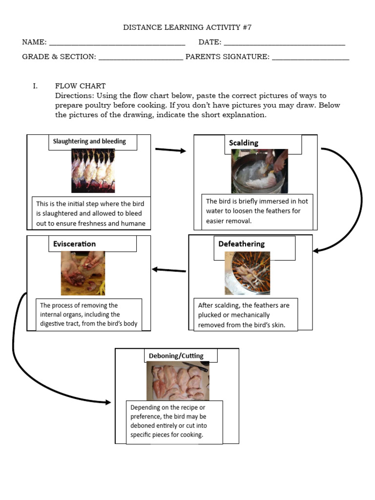 Distance Learning Activity 7 Poultry | PDF