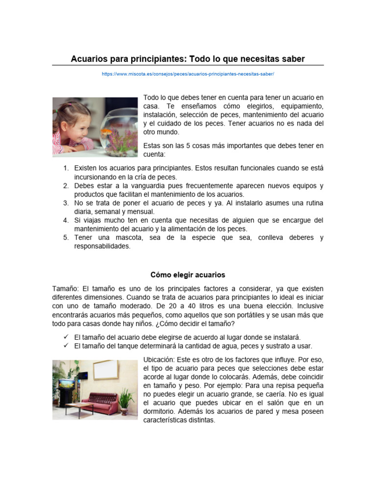 Guía esencial para acuarios principiantes | PDF | Acuario | Agua