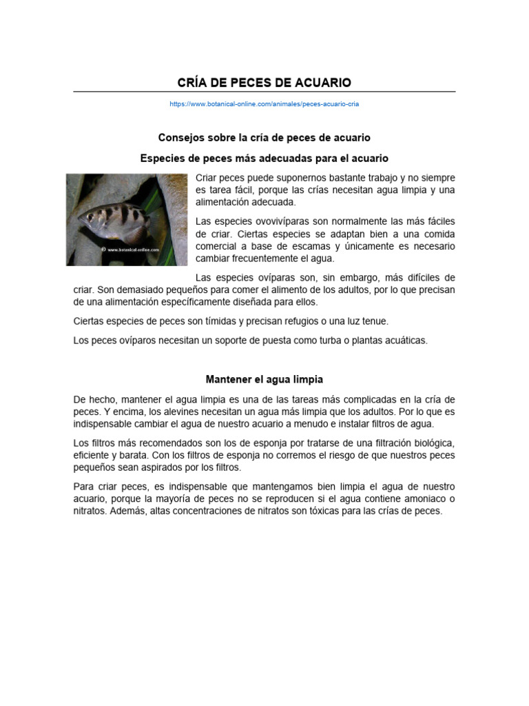Cría de Peces de Acuario | PDF | Acuario | Agua