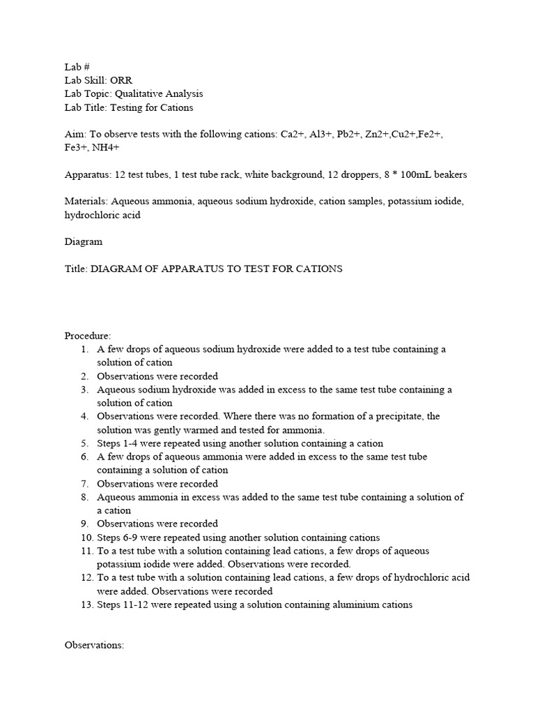 Chem Lab Workshop | PDF | Precipitation (Chemistry) | Electrode