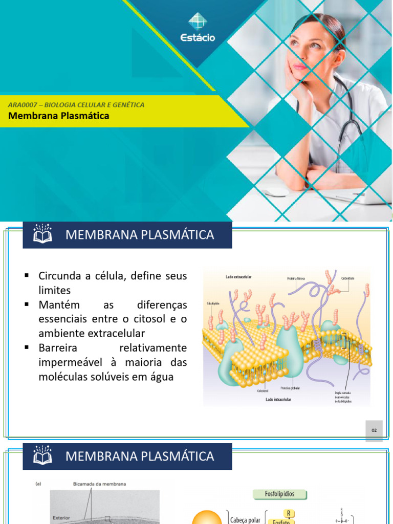 3 - Membrana Plasm Tica | PDF | Membrana celular | Célula (Biologia)