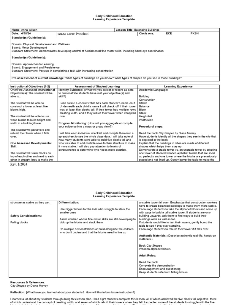 anna wilson - 313 lesson plan | PDF | Early Childhood Education | Cognition