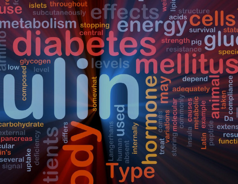 insulin poster | PDF