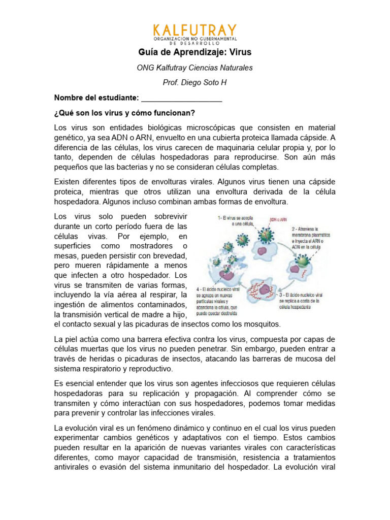 Guía de Aprendizaje - Virus | PDF | Virus | Biología Celular)