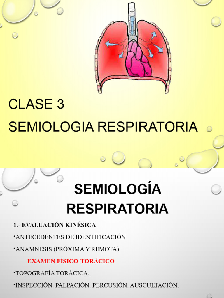 Clase Semio Parte 1 | PDF | Sonido | Instrumentos de cuerda