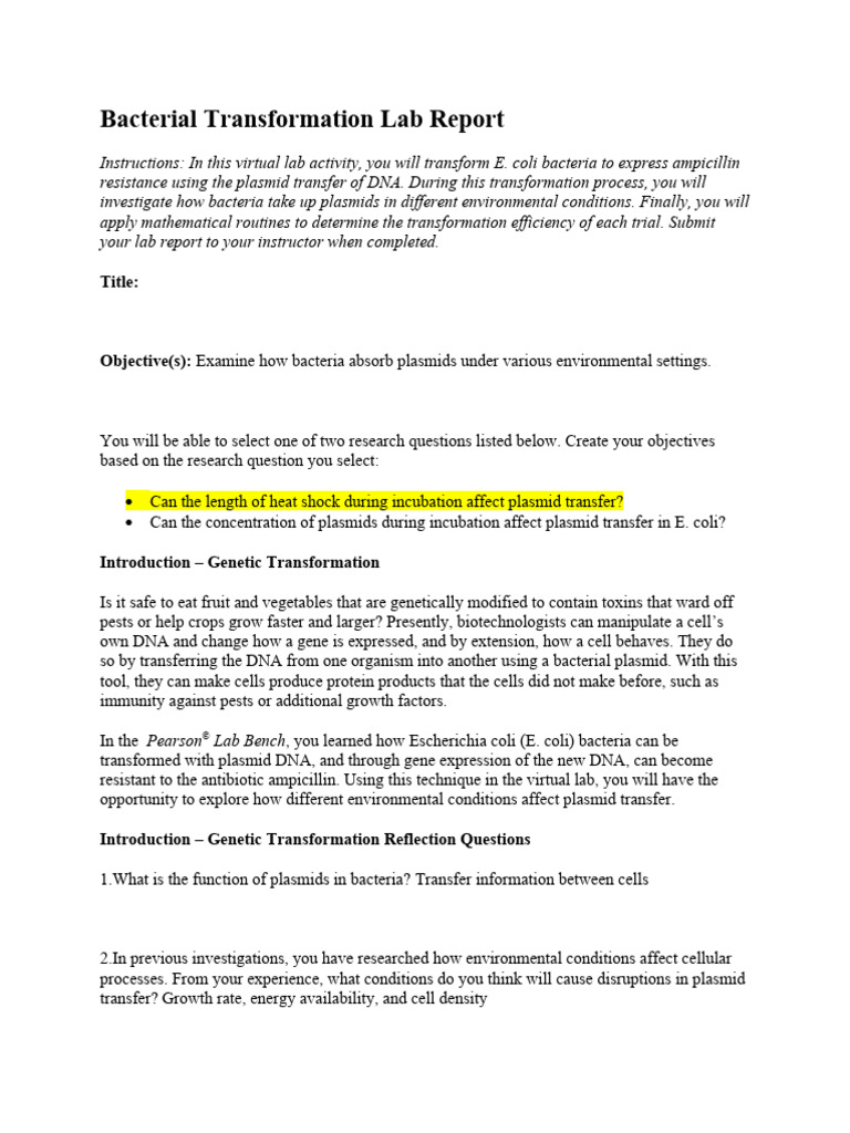 06_08_bacterial_transformation_lab_report | PDF | Transformation ...