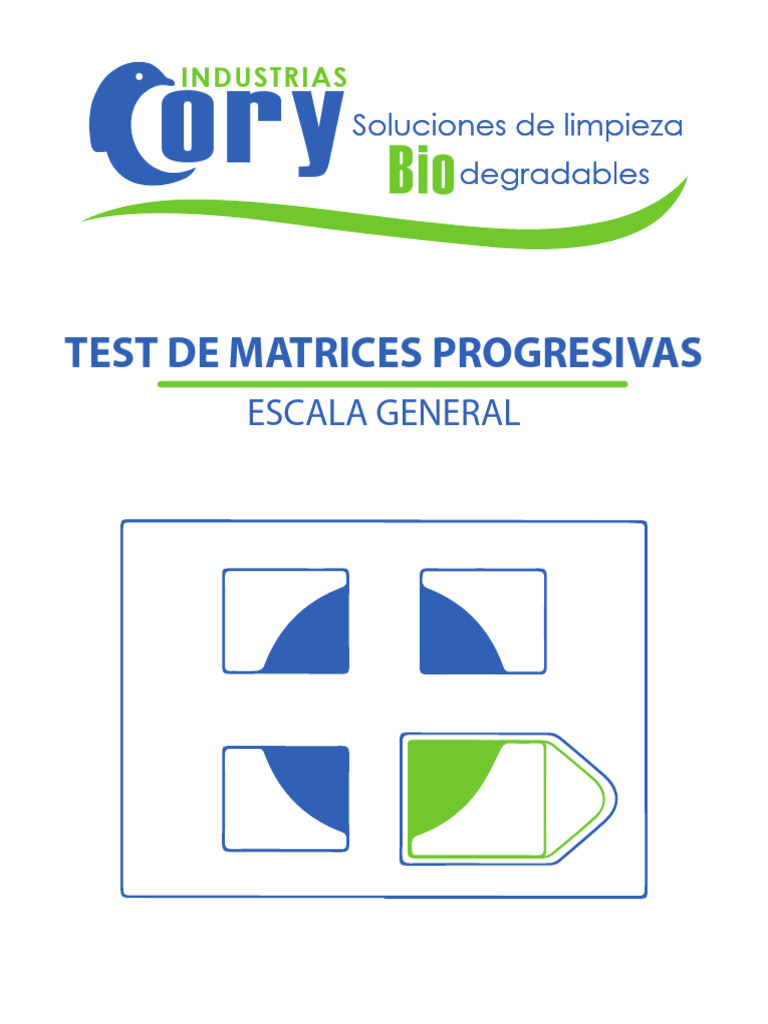 Test de Matrices Progresivas de Raven Cory | PDF
