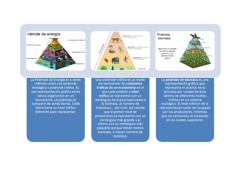 Piramide de Energia | PDF