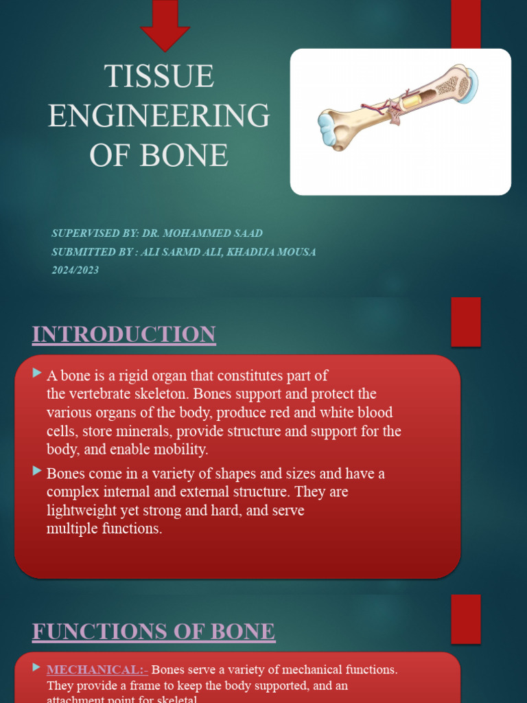 Bone Engineering | PDF | Bone | Tissue Engineering