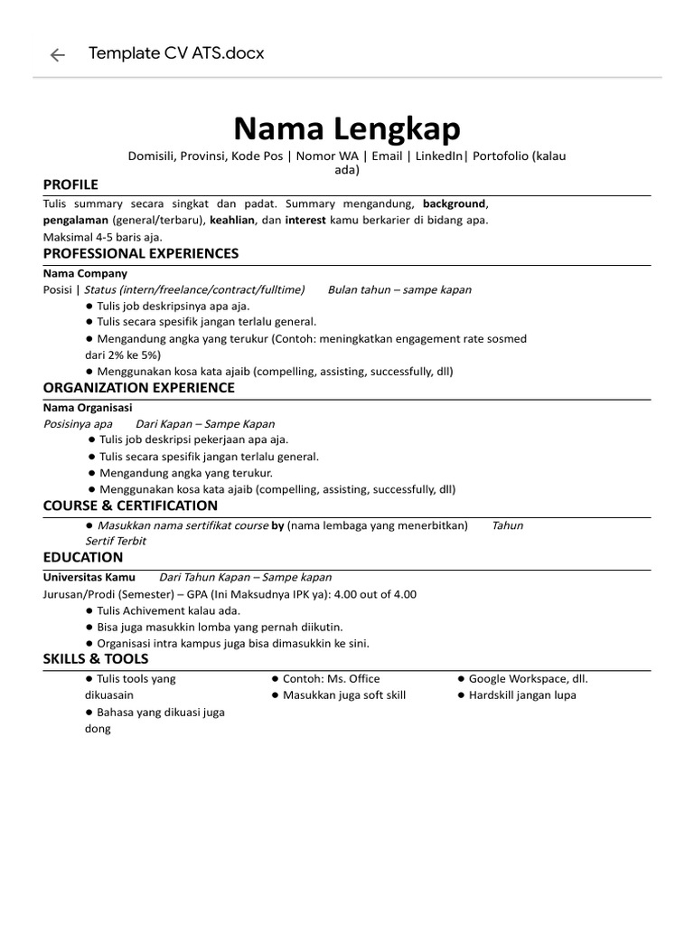 Template CV ATS | PDF