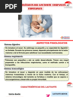 HEPTADIN | PDF | Dolor de cabeza | Migraña