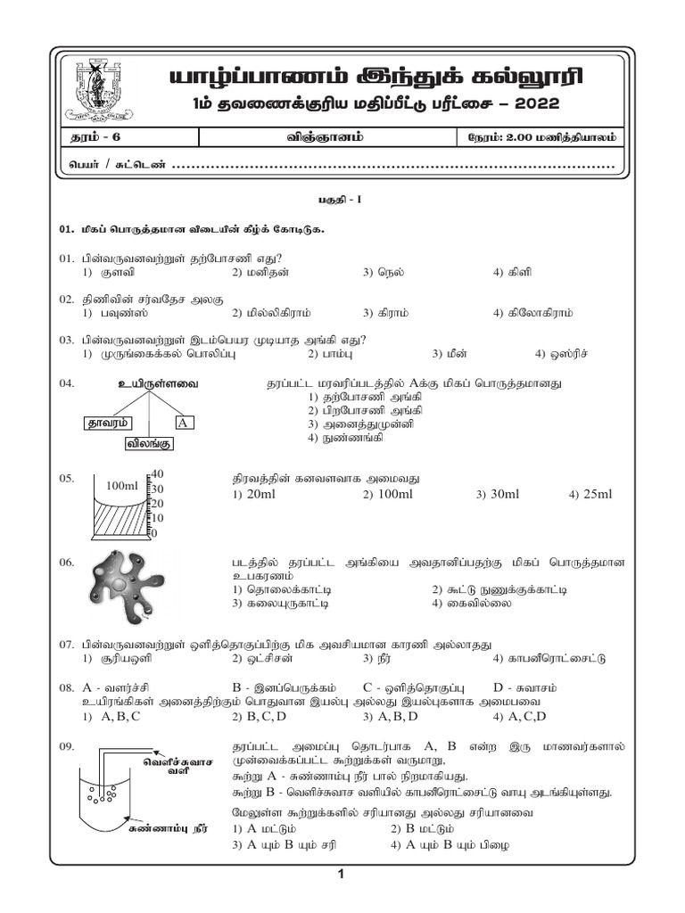 teachers guide grade 6 book | PDF