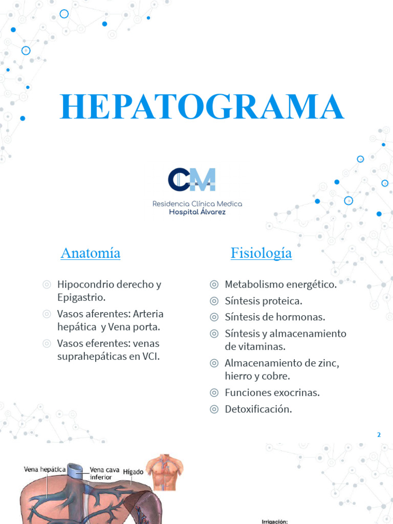 04 - Hepatograma | PDF | Transaminasa | Hepatitis