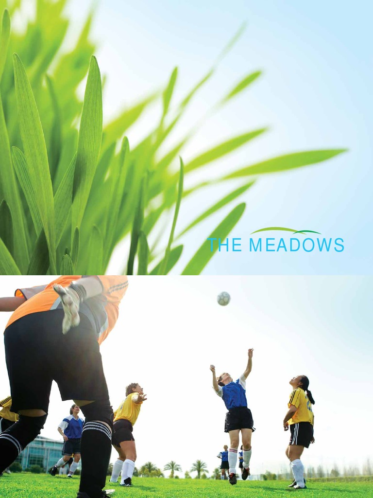 Meadows | PDF | Business