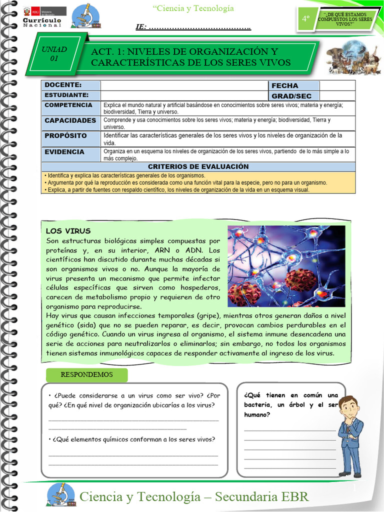 Ciencia y Tecnología - Secundaria EBR: Act. 1: Niveles de Organización ...