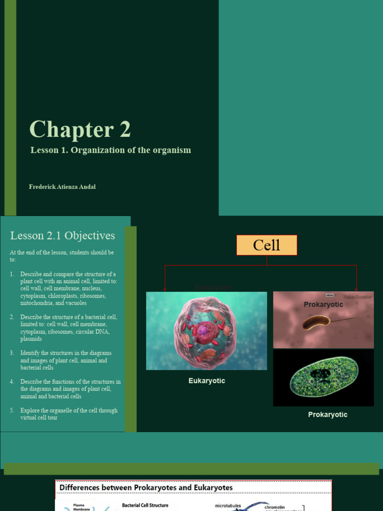 Chapter 2 Lesson 1 Cell Structure and Organization | PDF | Cell ...