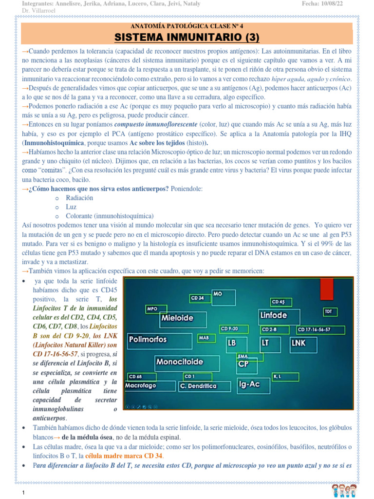 Anatopato Clase 4 Sistema Inmunitario 3 10-8-22 | Descargar gratis PDF | Linfocitos | Alergia