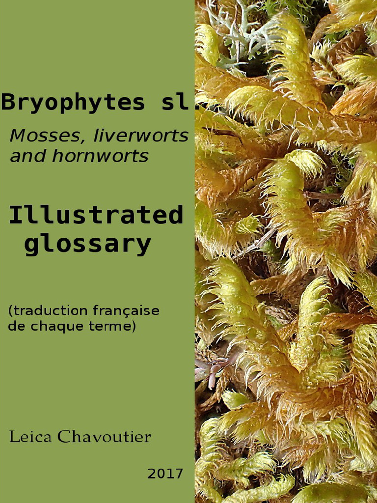 Illustrated Glossary Bryology Leica Chavoutier | PDF | Moss | Botany