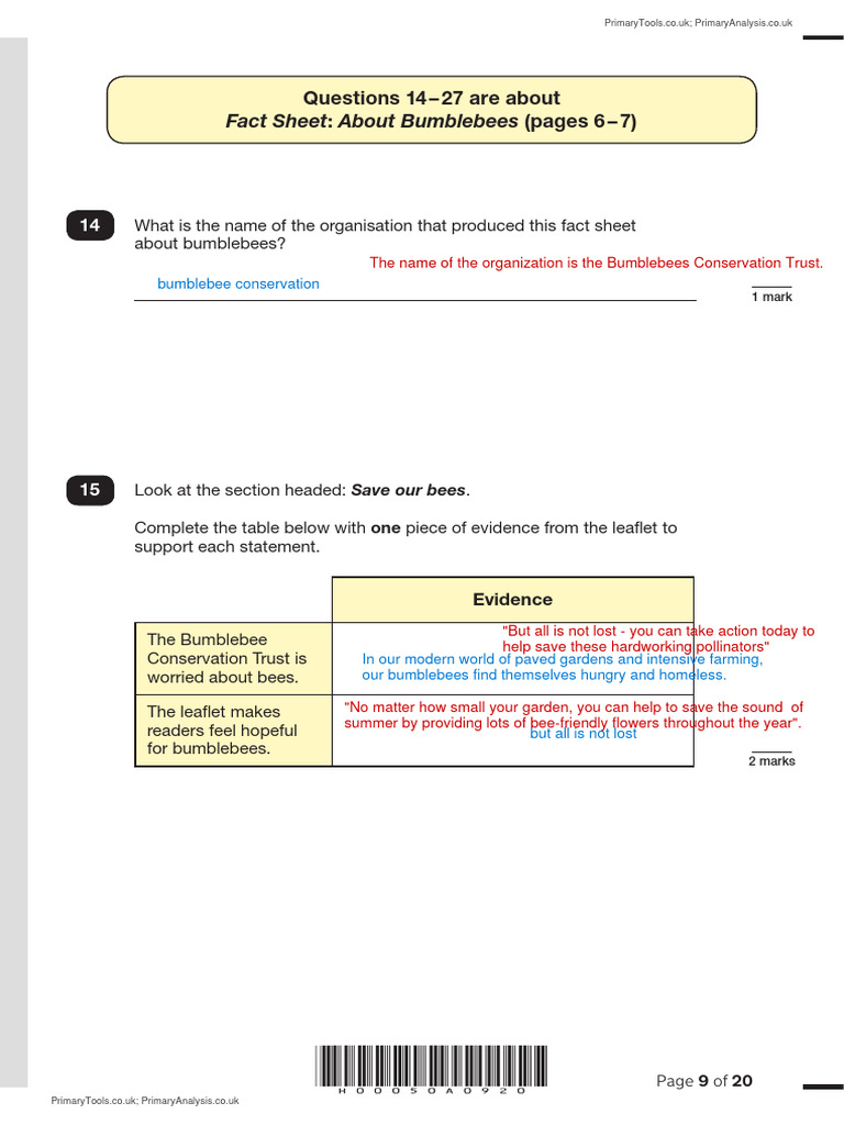 A08 Bumblebees Reading Questions and Ans | PDF | Bumblebee | Pollination
