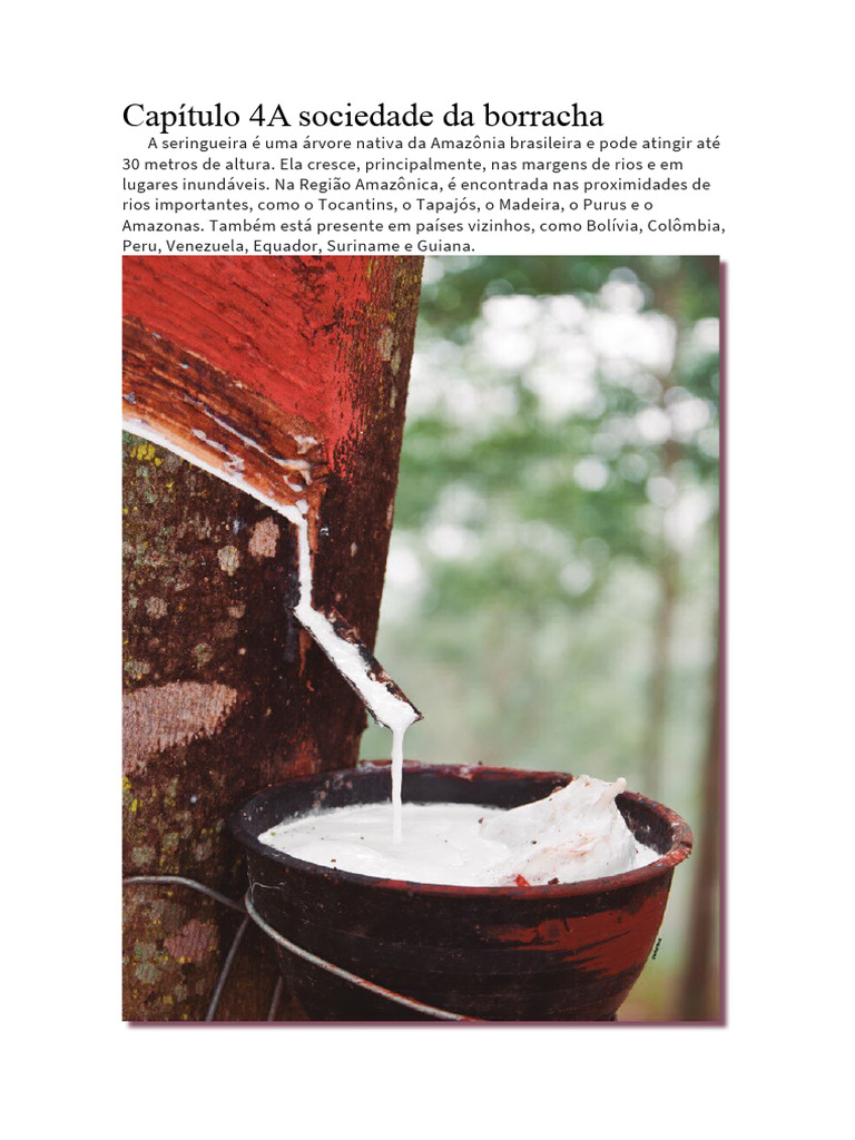 Capítulo 4A Sociedade Da Borracha | PDF | Carro