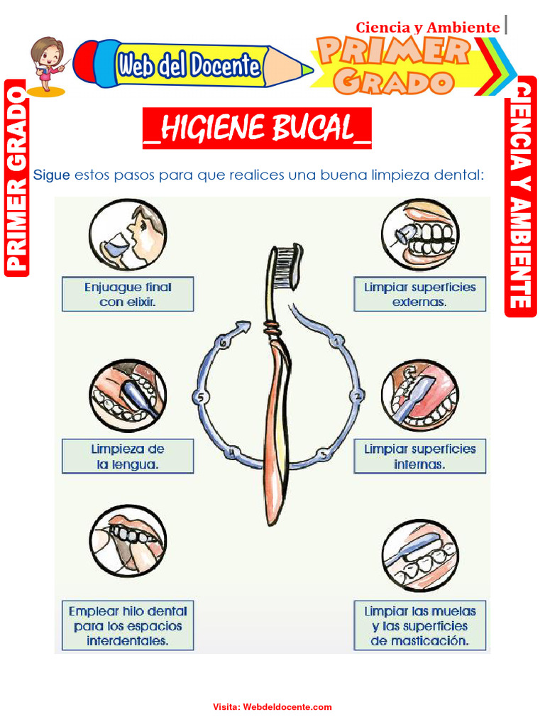 Higiene Bucal para Primer Grado de Primaria | PDF | Higiene oral ...
