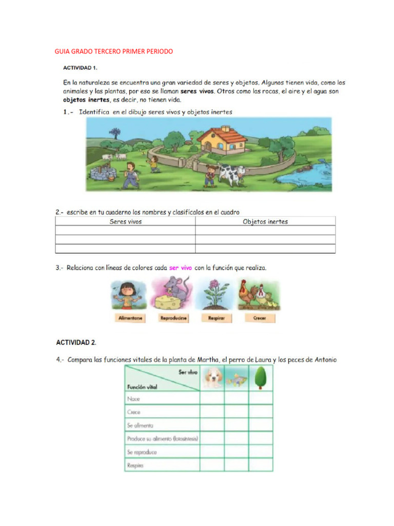 Actividades de Ciencias para Tercer Grado | PDF
