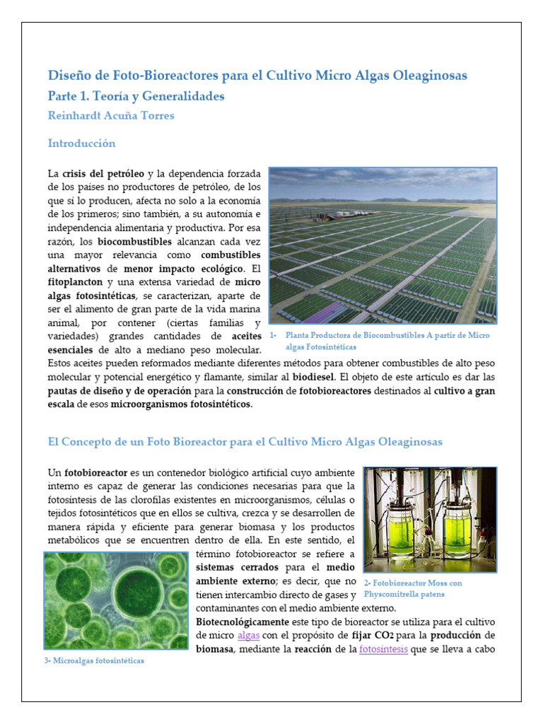 Fotobiorreactor Para Cultivo Microalgas | PDF | Cianobacterias ...