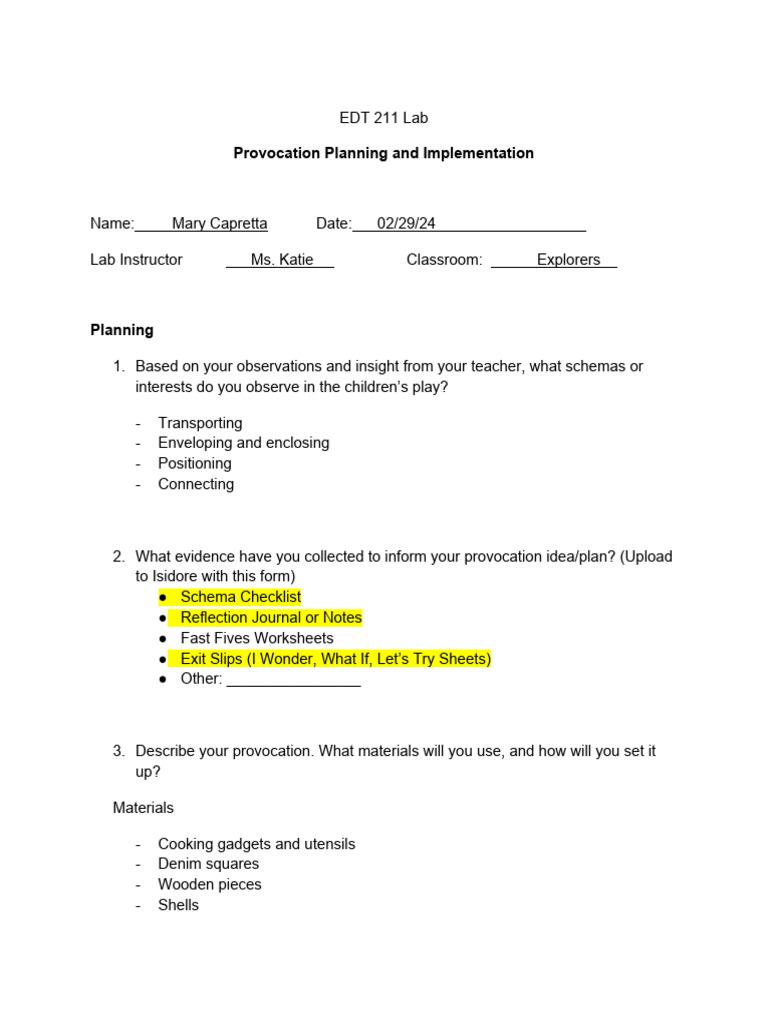 Provocation Planning and Implementation Mary Capretta | PDF | Cognition