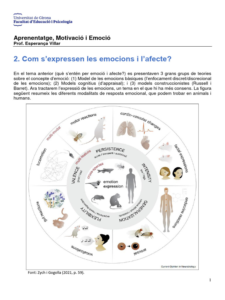 Com Sexpressen Les Emocions I Lafecte | PDF