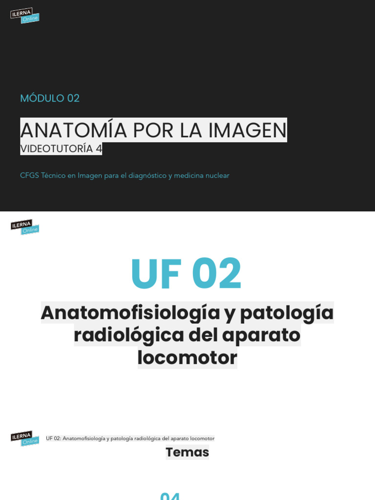 Craneo Pdf Cráneo Hueso