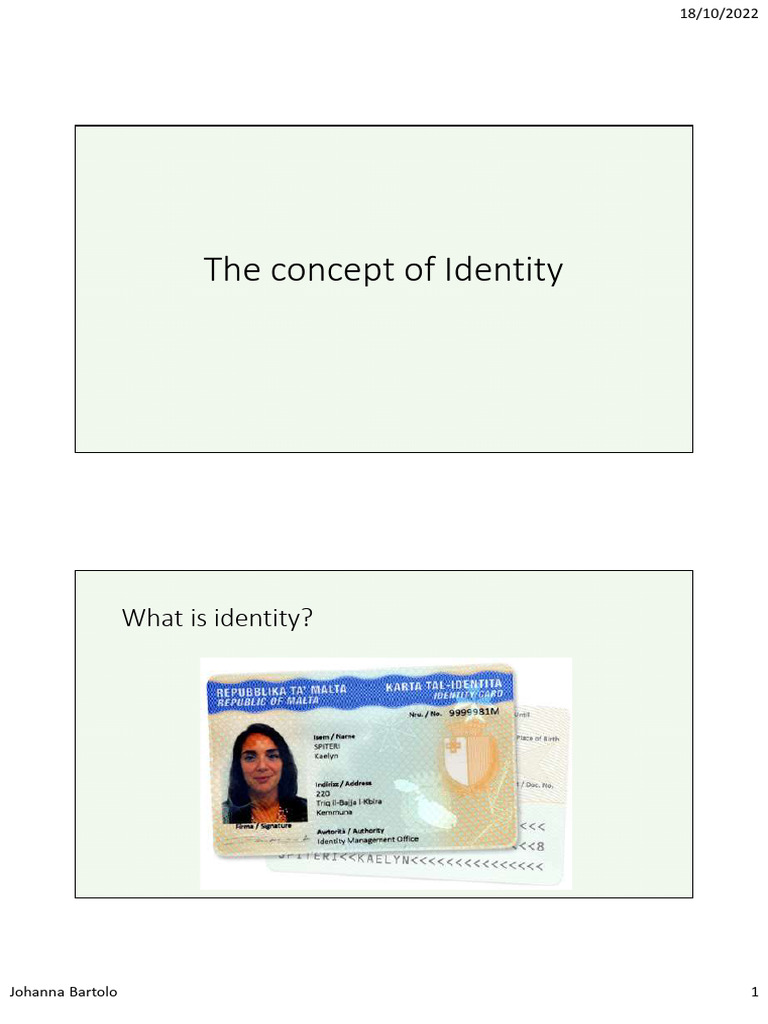 The Concept of Identity | PDF | Identity (Social Science) | Social Stigma