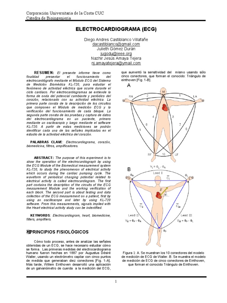 Informe ECG | PDF | Electrocardiografia | Ingenieria Eléctrica