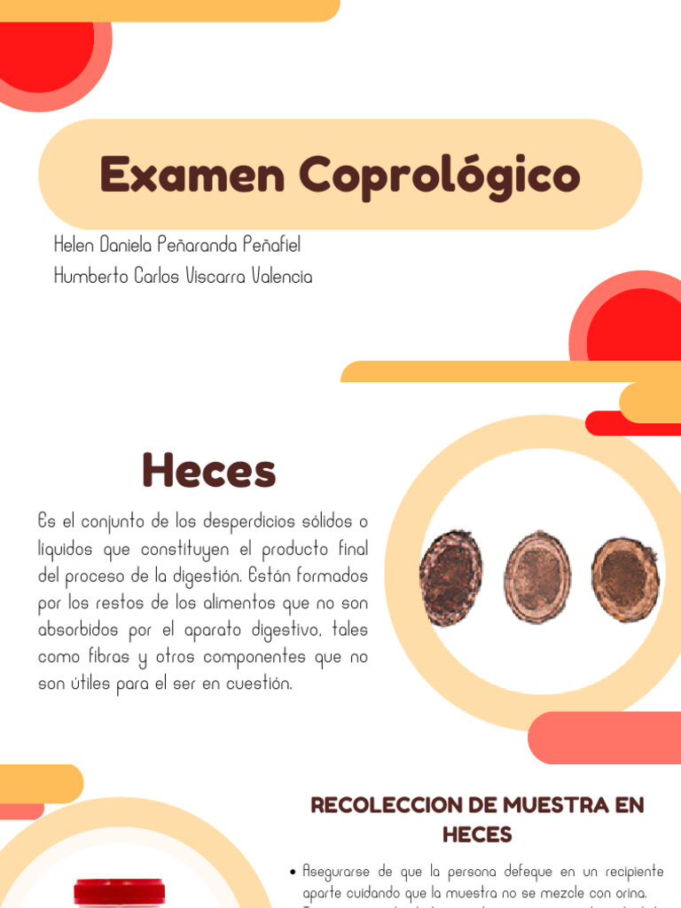 Exámenes de Heces | PDF | Heces | Diarrea