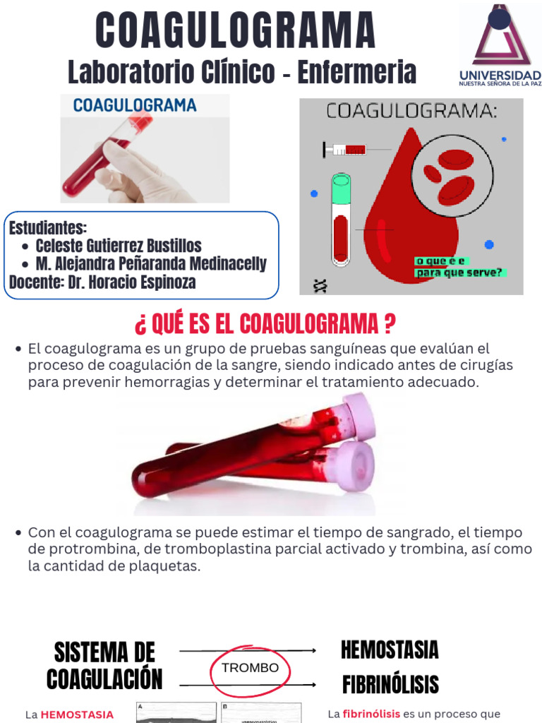 Coagulograma B | Descargar gratis PDF | Hemostasia | Coagulación