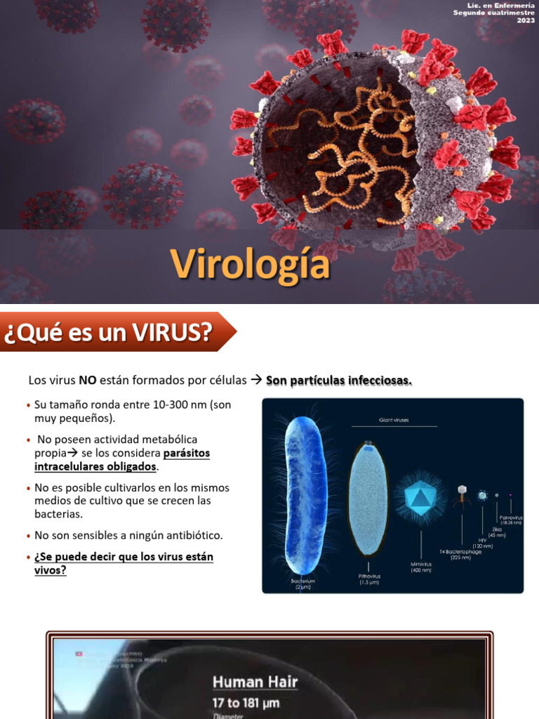 Introducción a la Virología y Virus | PDF | Virus | Mutación