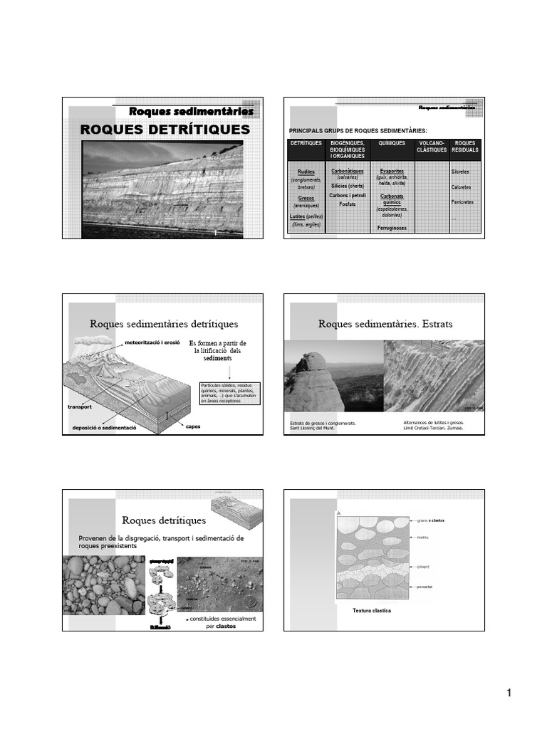 Tema 3. - Roques - Detritiques - Anna | PDF