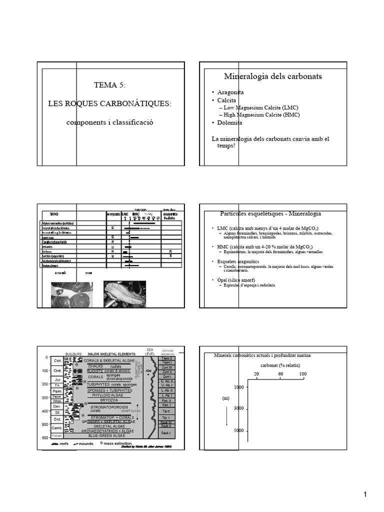 Tema 5. - Roques - Carbonatiques. - Components - I - Classificacio | PDF