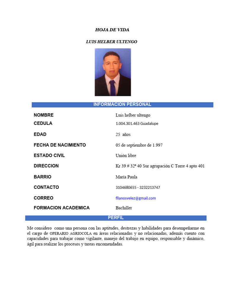 Hoja de Vida de Luis | PDF