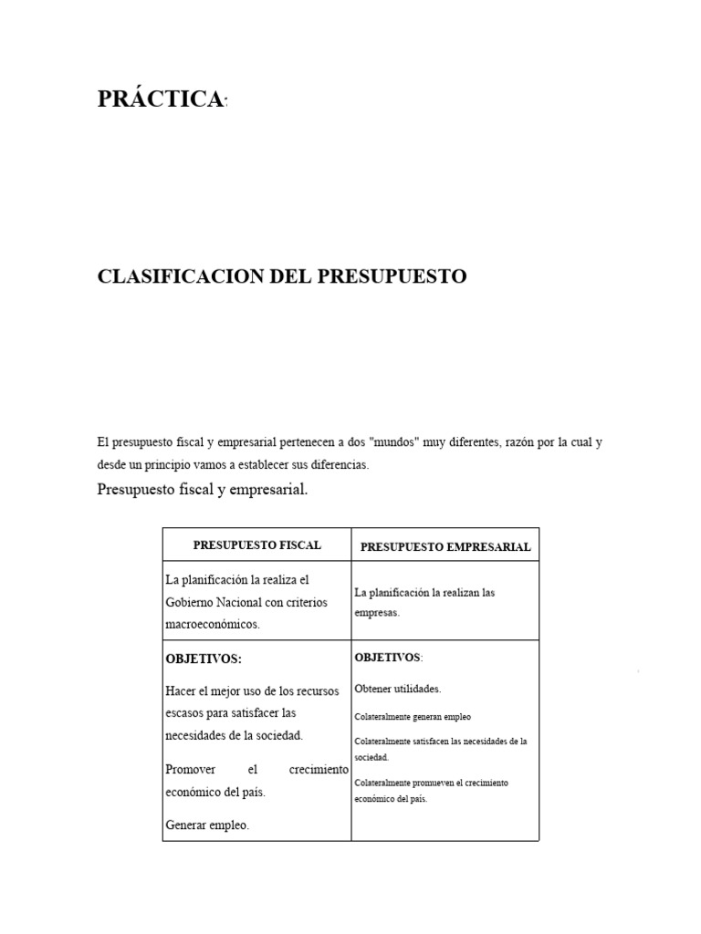 Practica N°1 | PDF | Presupuesto | Business