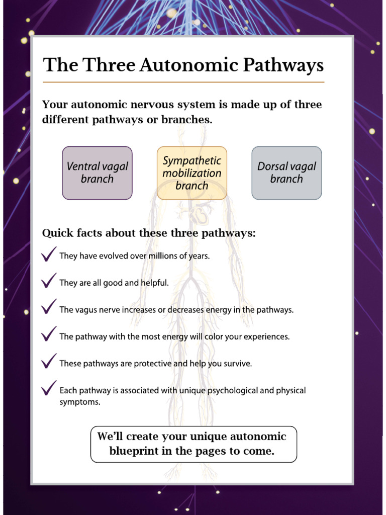 Polyvagal Free Worksheets | PDF
