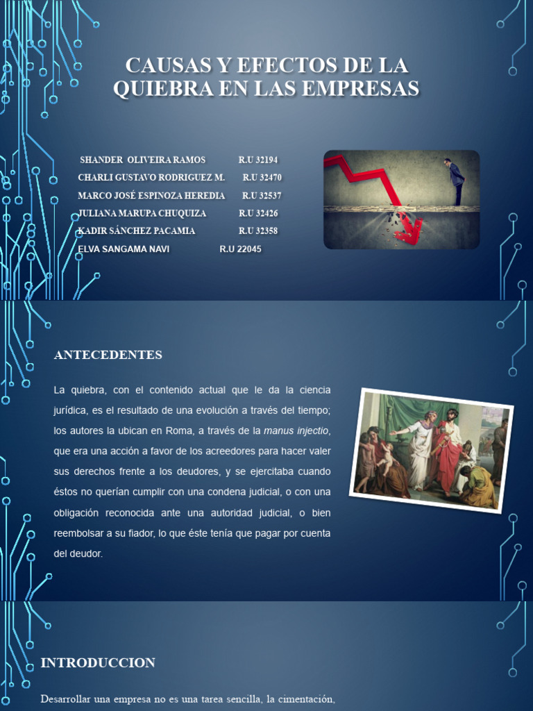 Causas y Efectos de La Quiebra en Las Empresas | Descargar gratis PDF ...